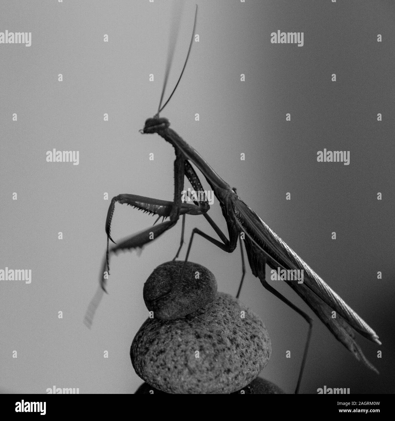 View on blue looking Black and White Stock Photos & Images - Alamy