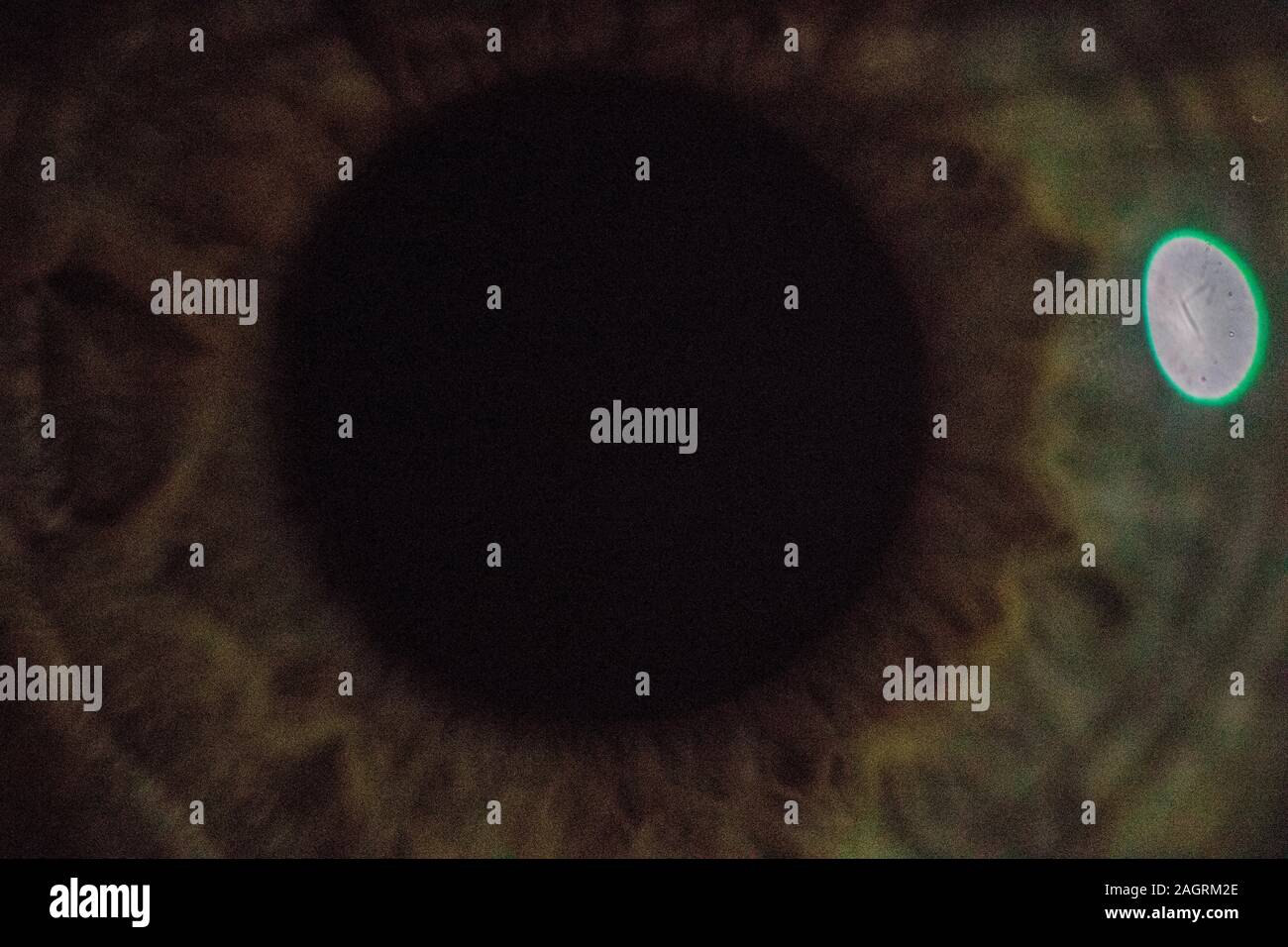 A very close up view of a human eye Stock Photo - Alamy