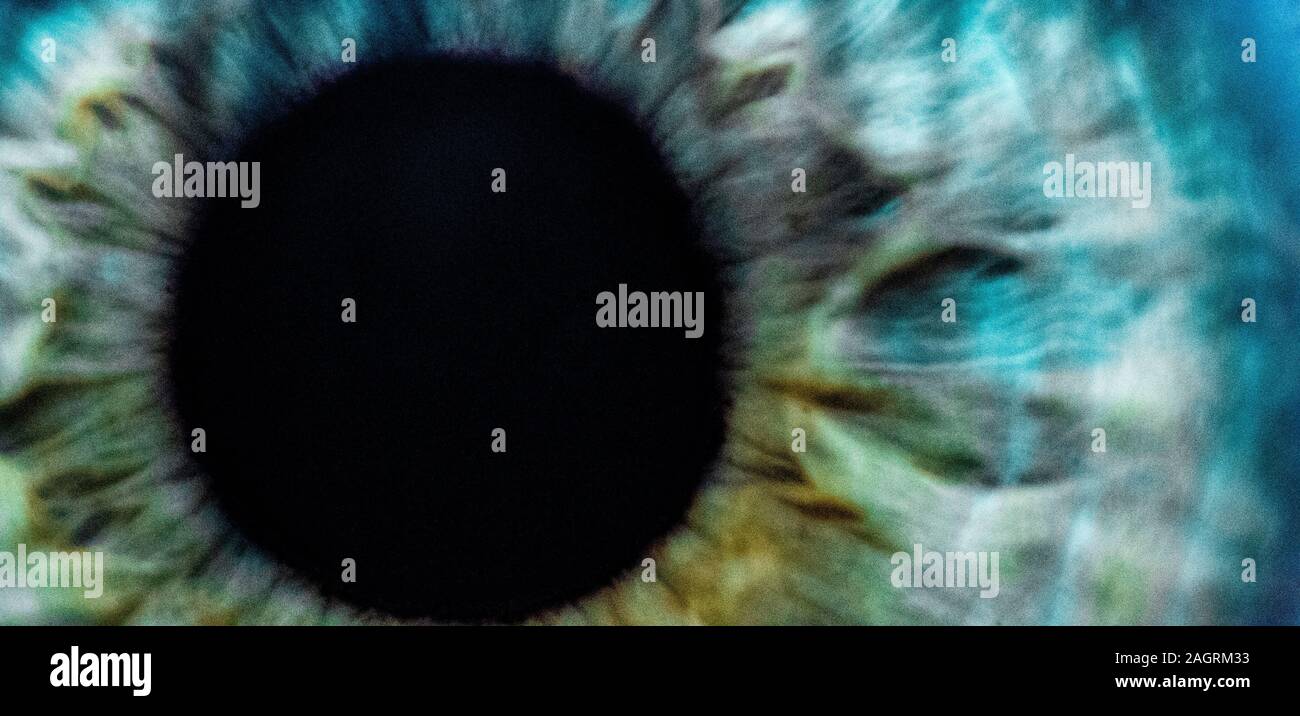 A very close up view of a human eye Stock Photo - Alamy