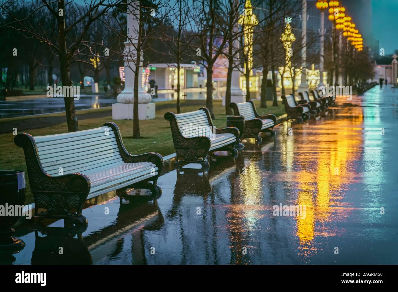 Rainy late evening in the park, a row of wooden benches, neon ...