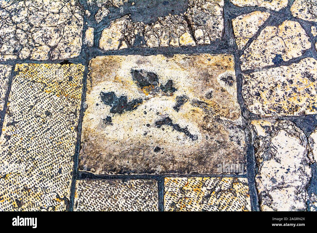 Traces of martyr Anwar 's legs Stock Photo - Alamy