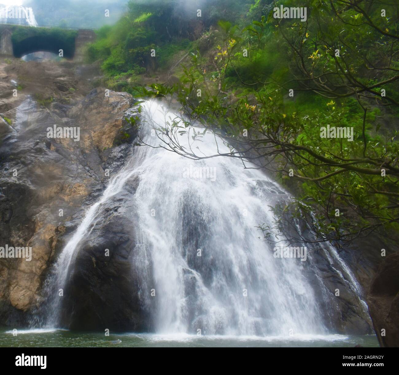 a beautiful dudhsagar waterfall in goa India Stock Photo - Alamy