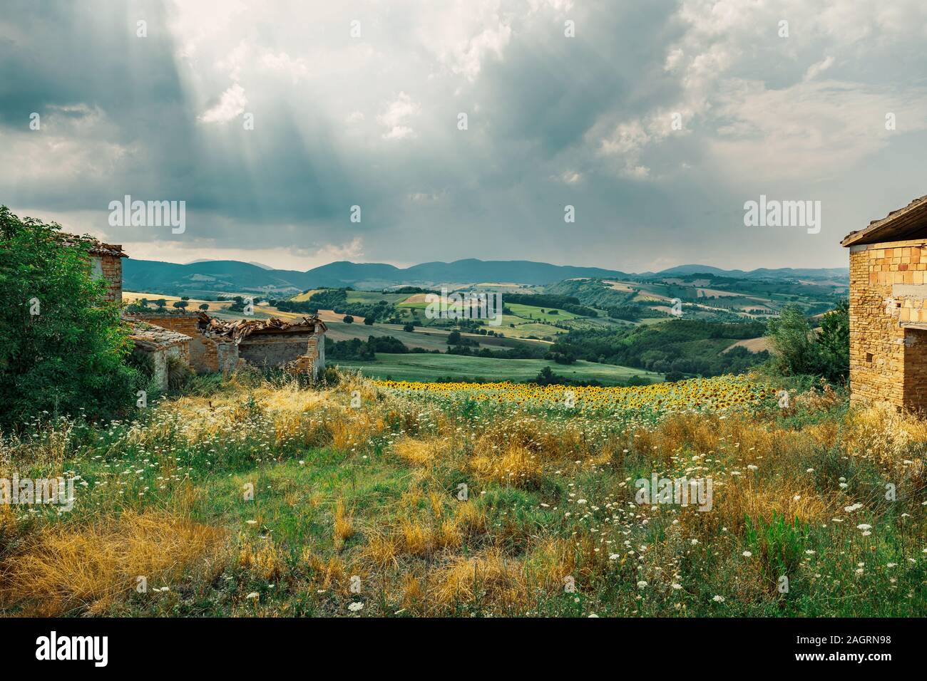Beautiful rural landscape of countryside, meadows and cultivated fields ...