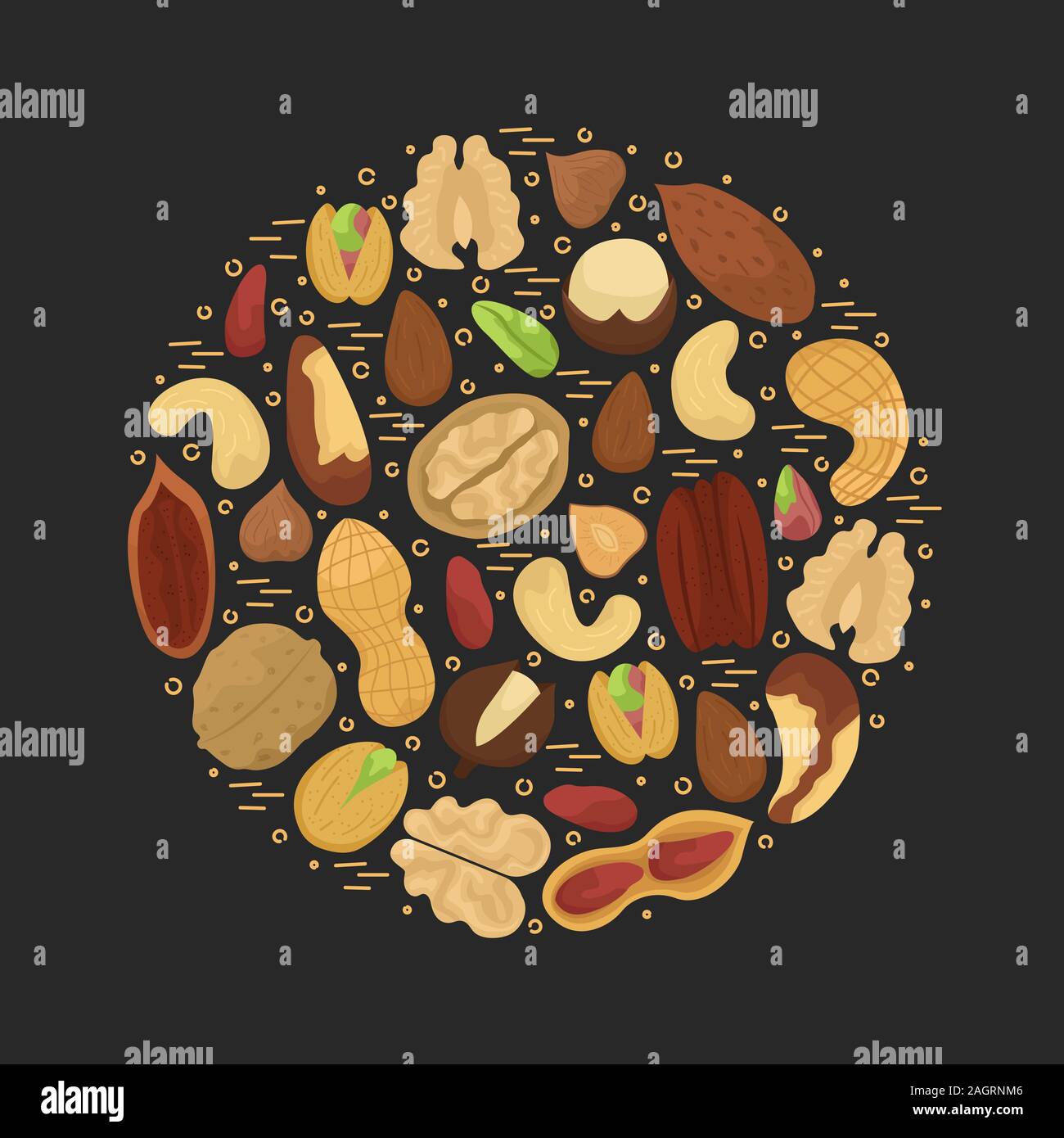 Vector illustration with flat nuts arranged in a circle shape Stock ...