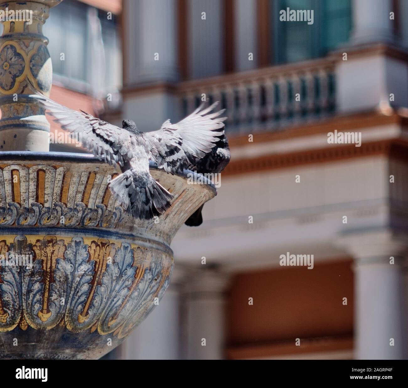 Bird flying towards tower hi-res stock photography and images - Alamy