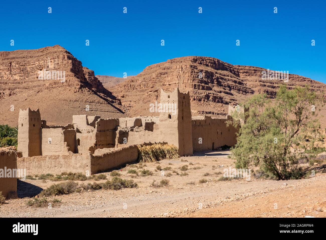 Oasis in ziz valley morocco hi-res stock photography and images - Alamy