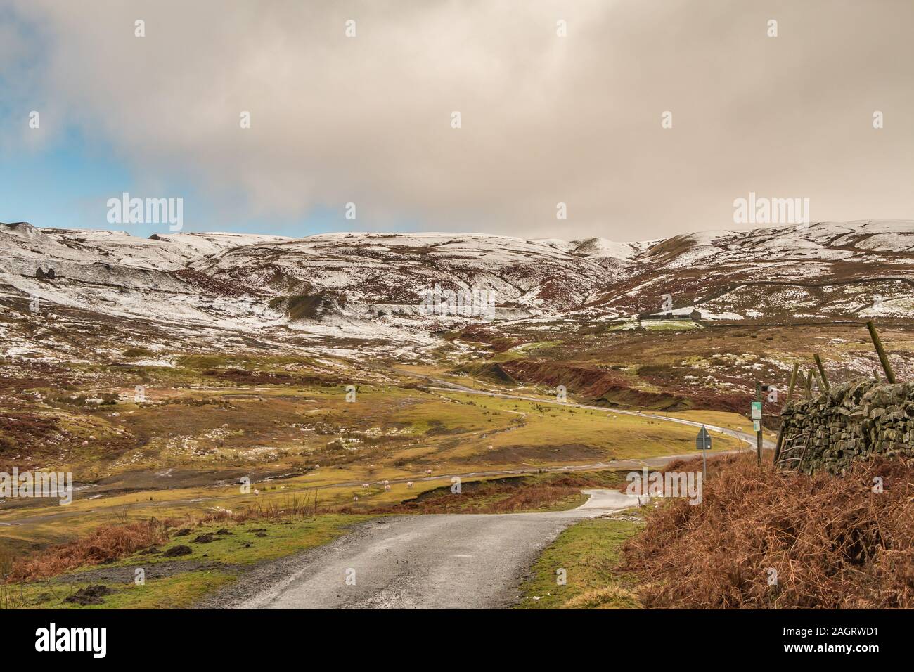 The extensive remains of the Coldberry lead mine in Teesdale Stock ...