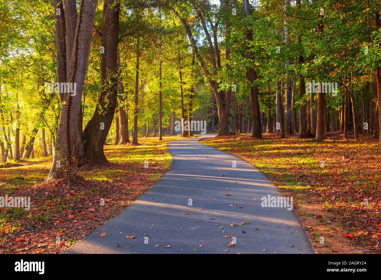 Early fall walking path through woods Stock Photo - Alamy