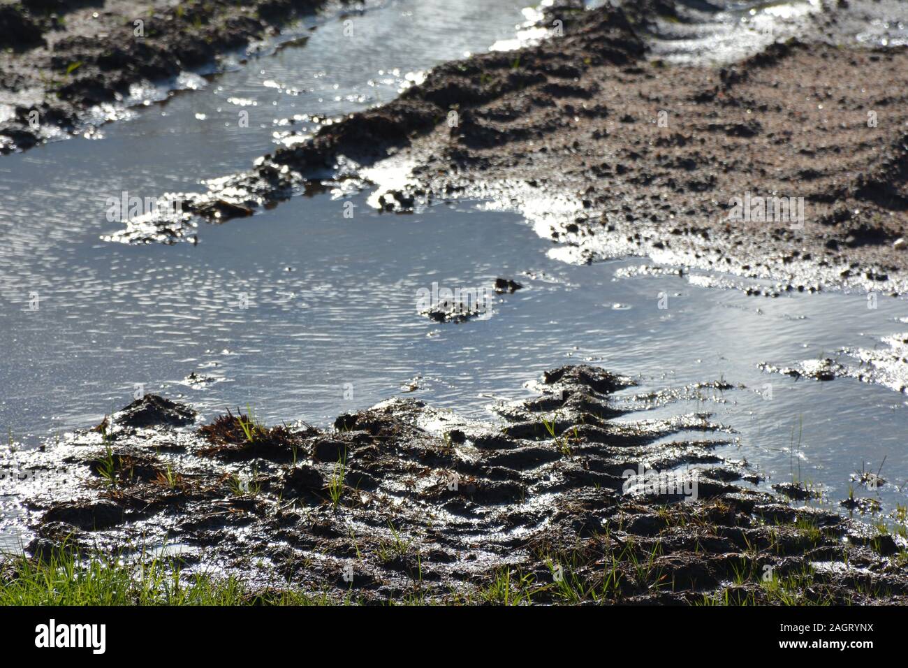 Mud puddle with texture of tire tracks Stock Photo - Alamy