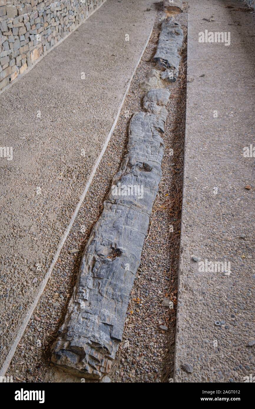 Igea rioja hi-res stock photography and images - Alamy