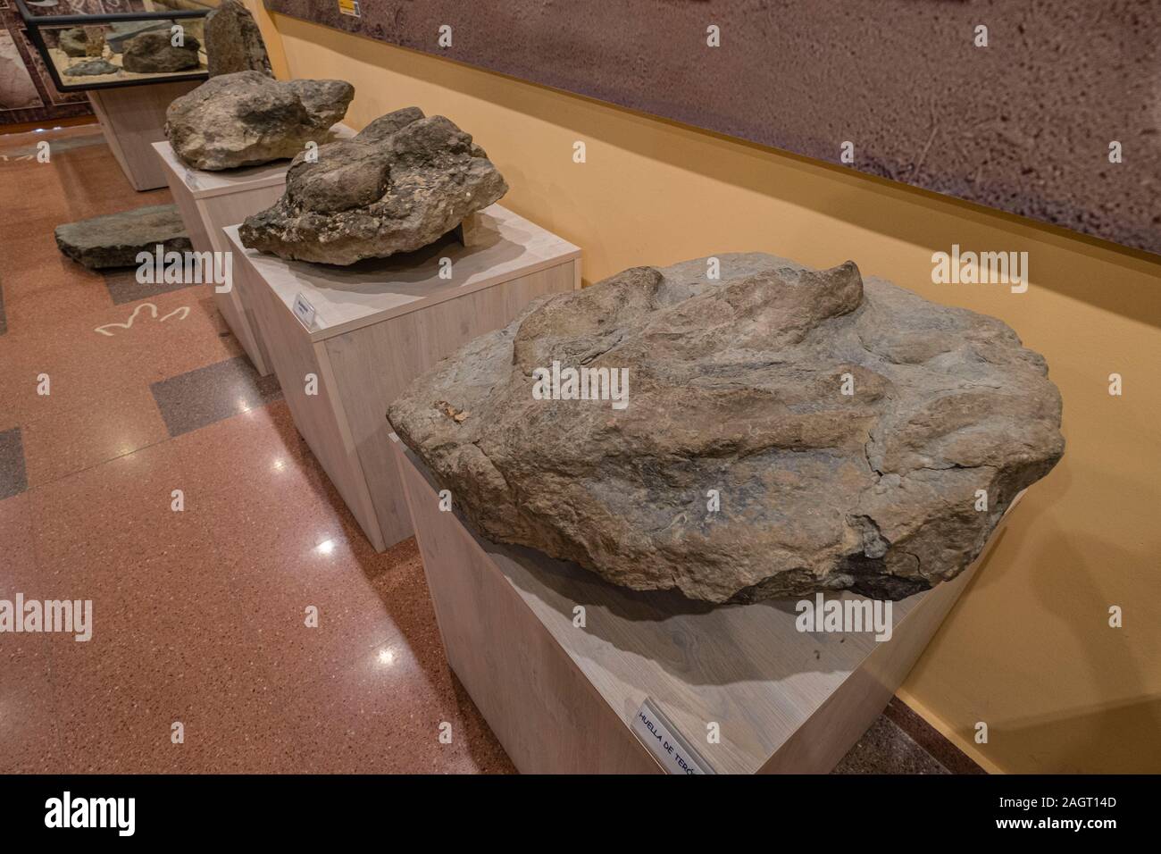 icnitas, Centro de Interpretación Paleontológica de La Rioja, Igea, La ...