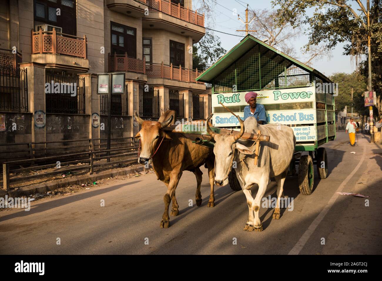 School bus as a cart pulled by a couple of bulls. Vrindavan, India ...