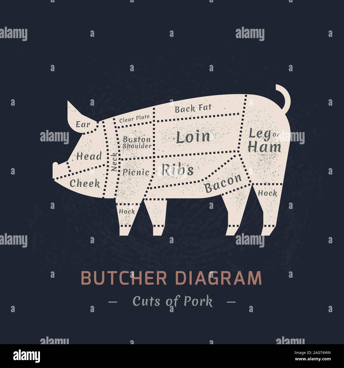 Cutting pig meat painted in a vector Stock Vector Image & Art - Alamy