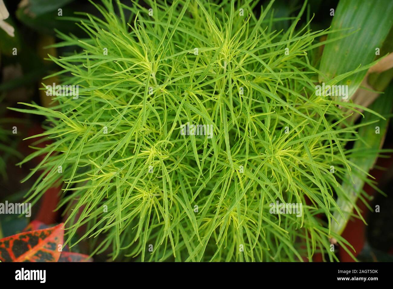 Beautiful land scape grass hi-res stock photography and images - Alamy