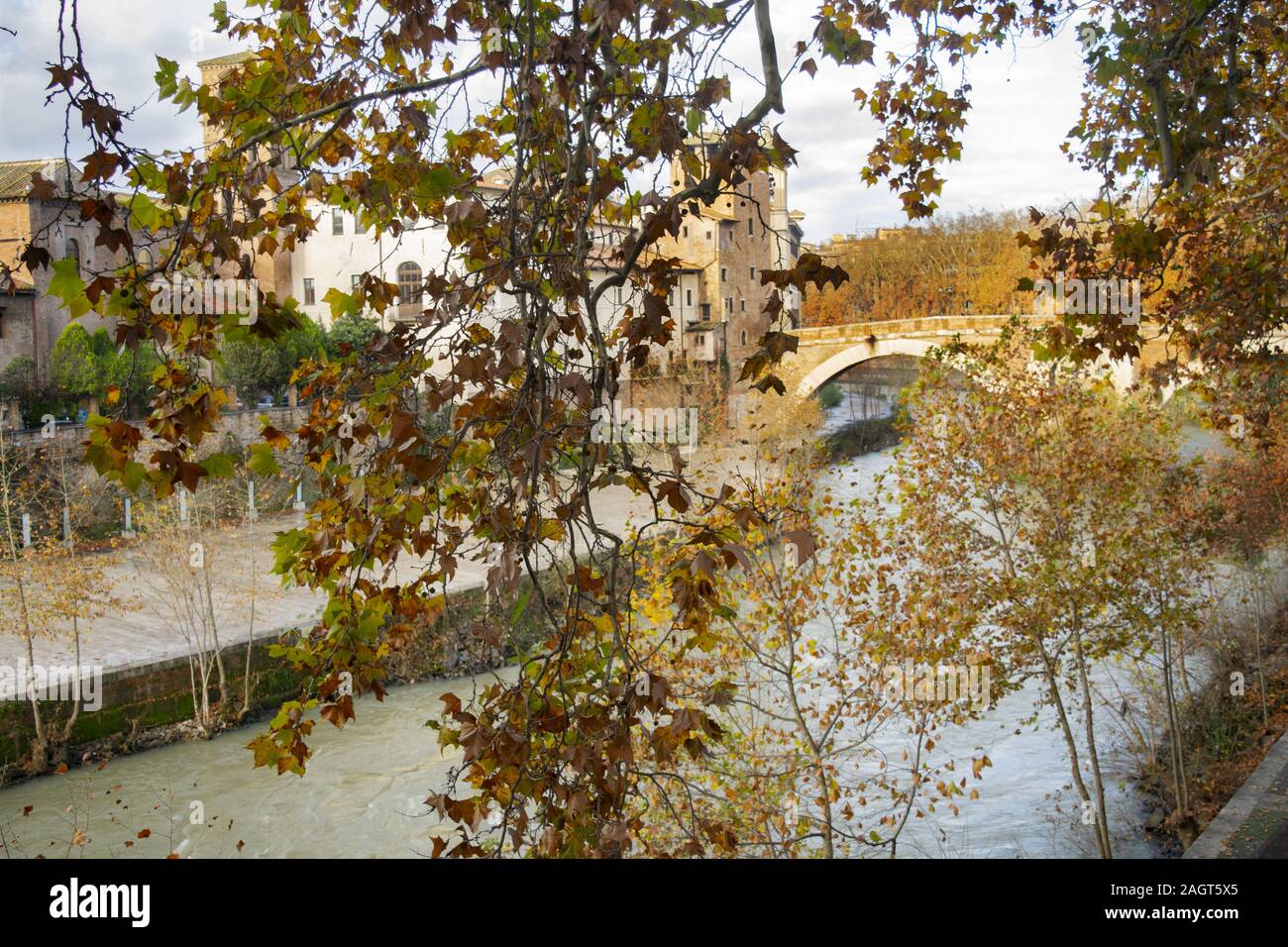 Old tiber island hi-res stock photography and images - Alamy