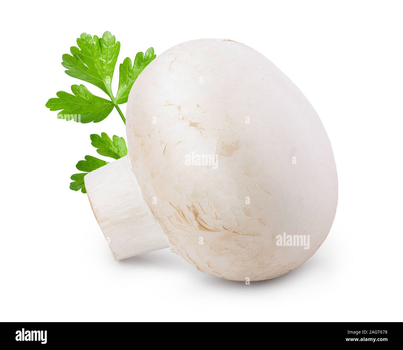 Fresh mushroom champignon isolated on white background with clipping ...