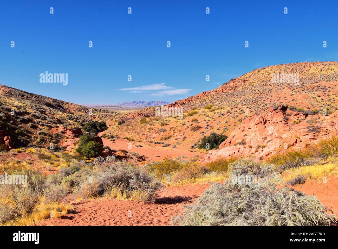 Red Cliffs National Conservation Area Wilderness and Snow Canyon State ...