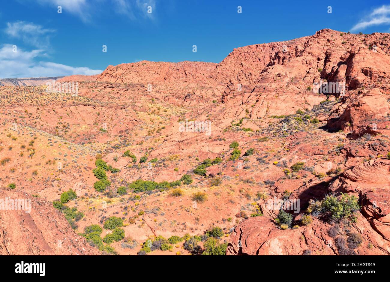Red Cliffs National Conservation Area Wilderness and Snow Canyon State ...