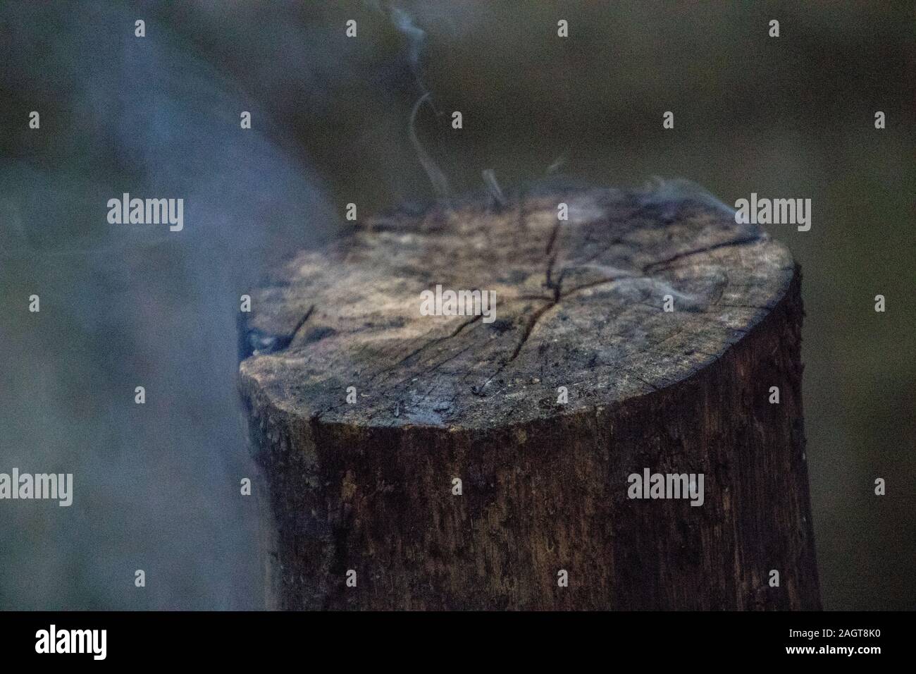 Single log hi-res stock photography and images - Alamy