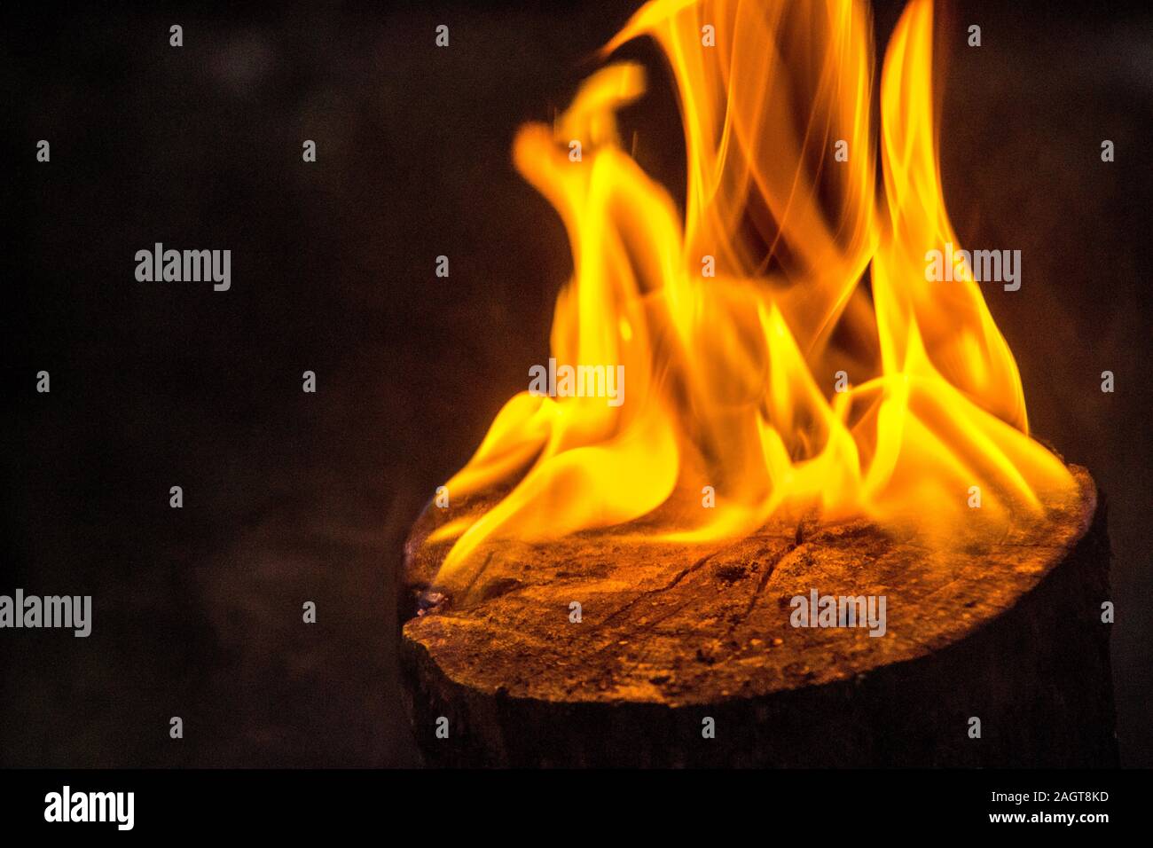 A single log with flames on top of it Stock Photo - Alamy