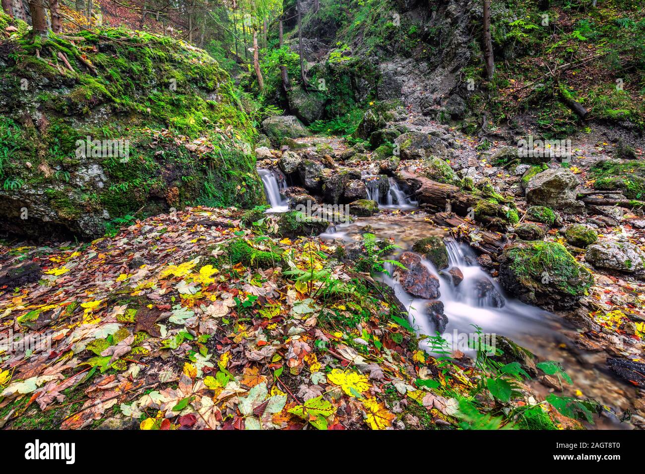 Beautiful pure waterfall in Slovakia national park Mala Fatra ...