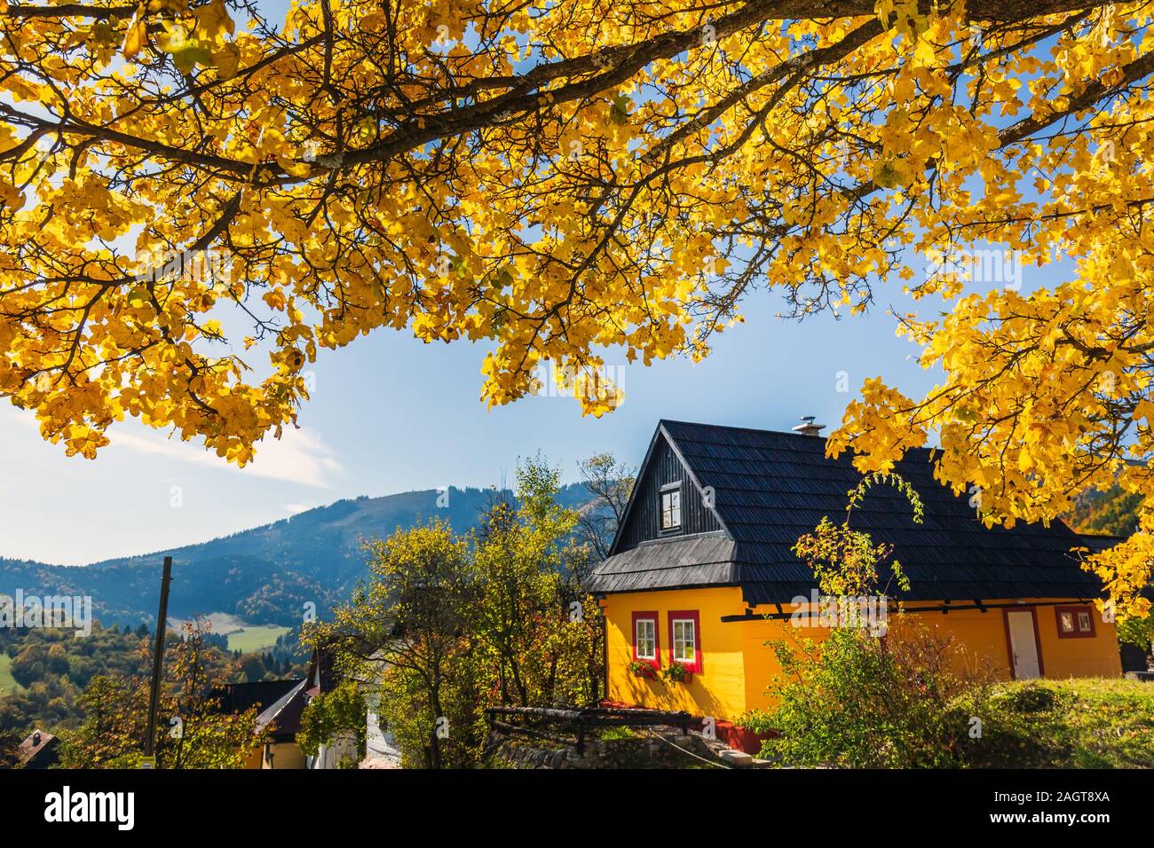 Yellow autumn leaves near house in Vlkolinec village in northern ...