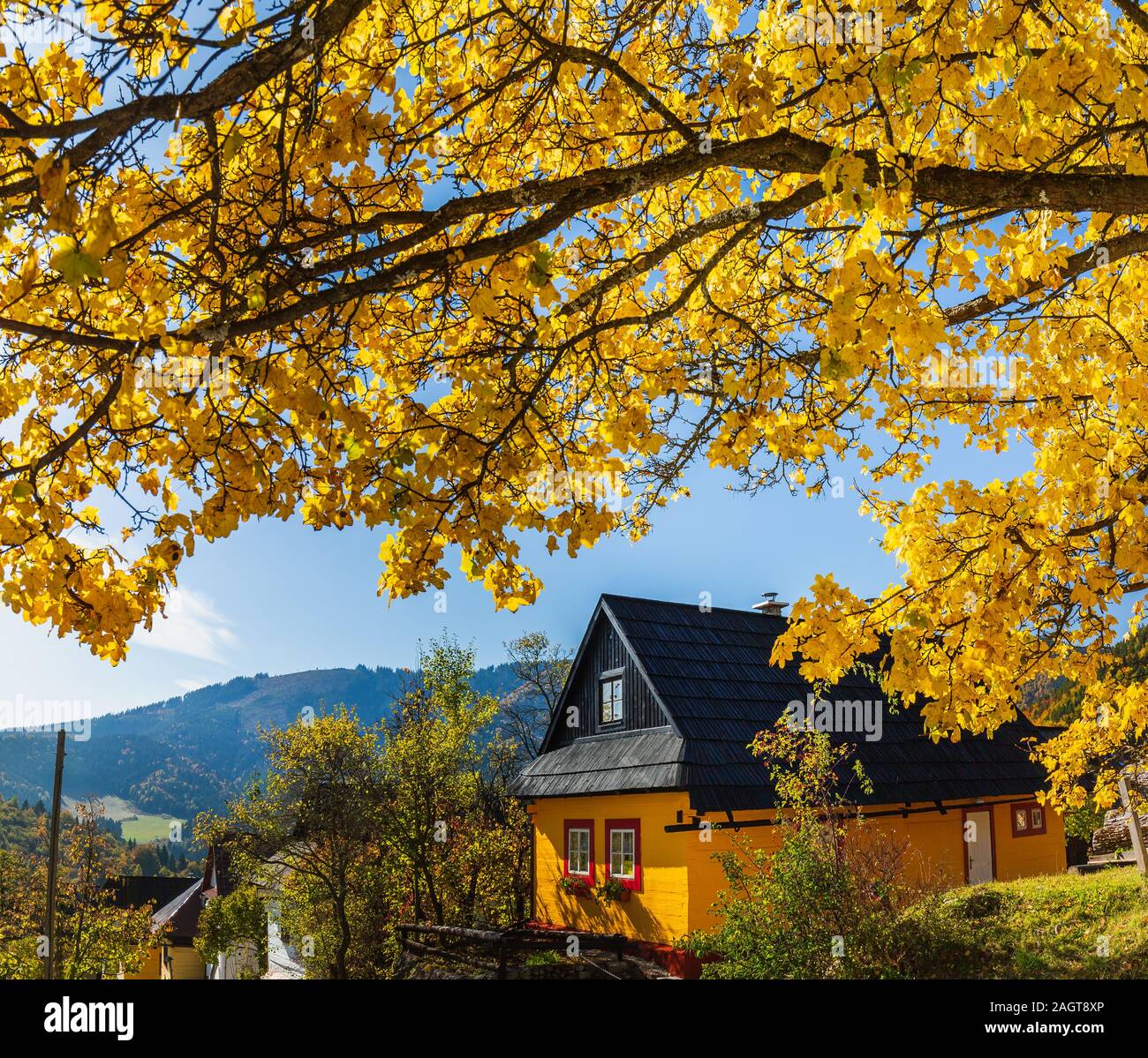 Yellow autumn leaves near house in Vlkolinec village in northern ...