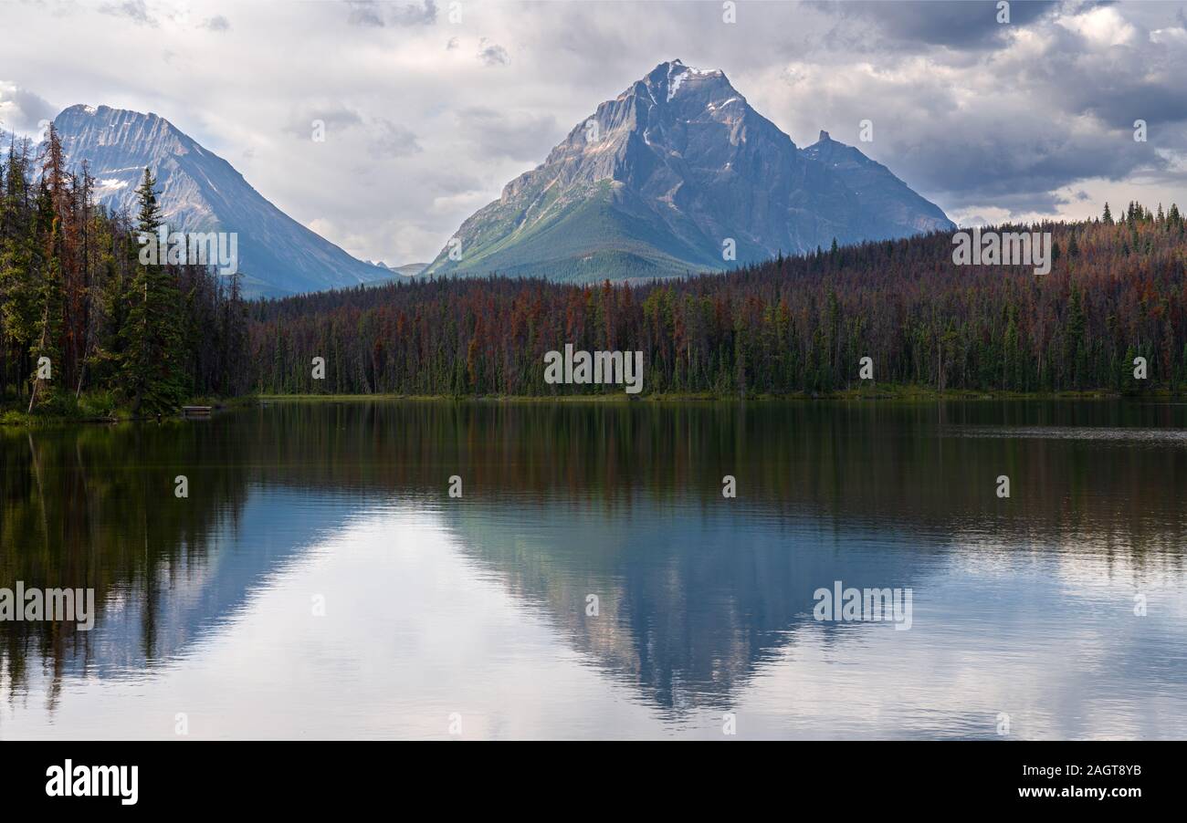 Leach lake hi-res stock photography and images - Alamy