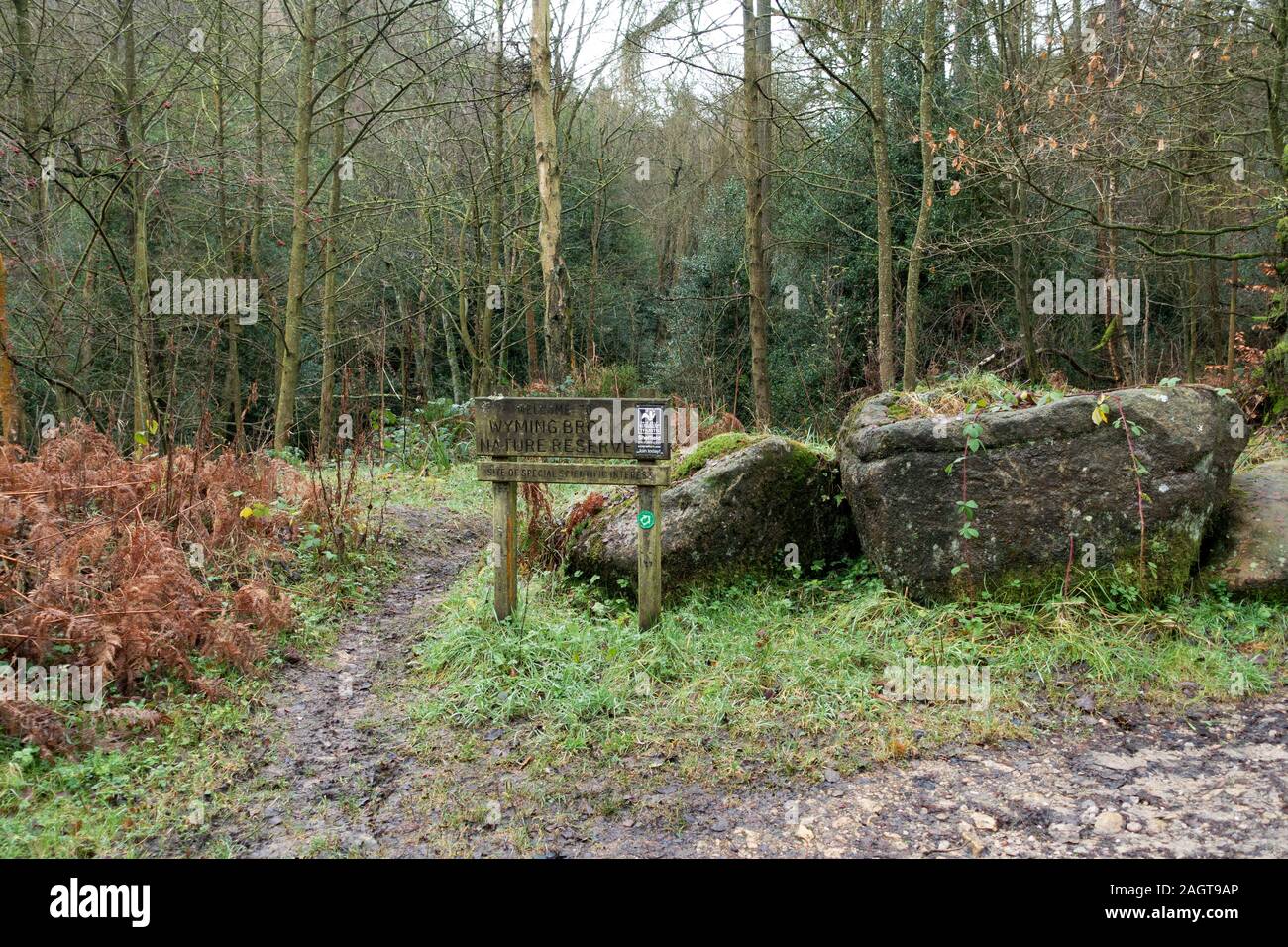 Sheffield nature reserve hi-res stock photography and images - Alamy