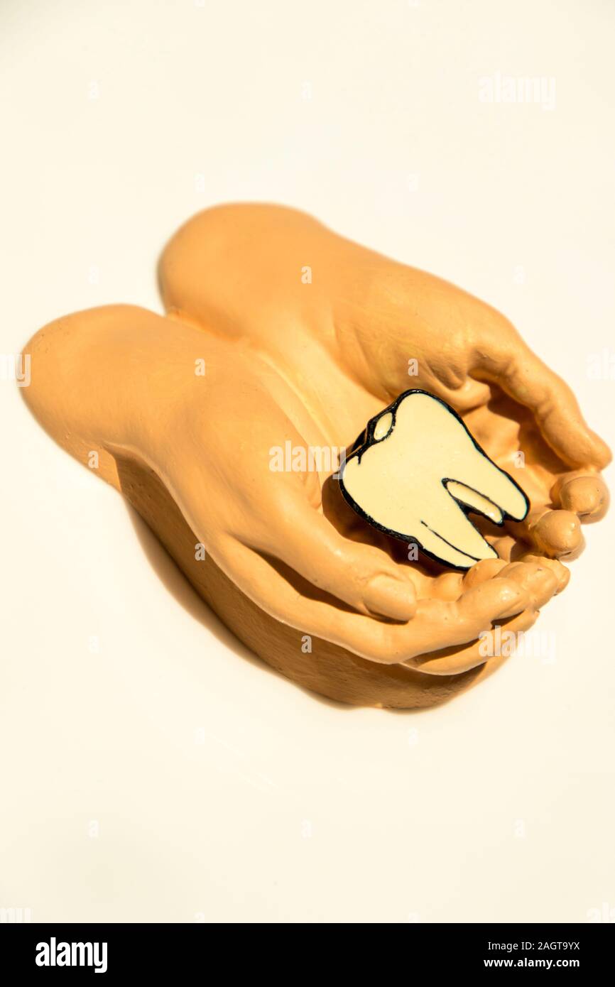 A pair of cupped hands hold and care for a tooth, to signify looking ...