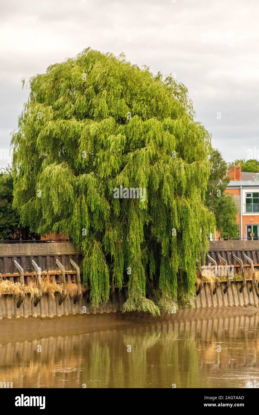 Overhang overhangs overhanging hi-res stock photography and images - Alamy