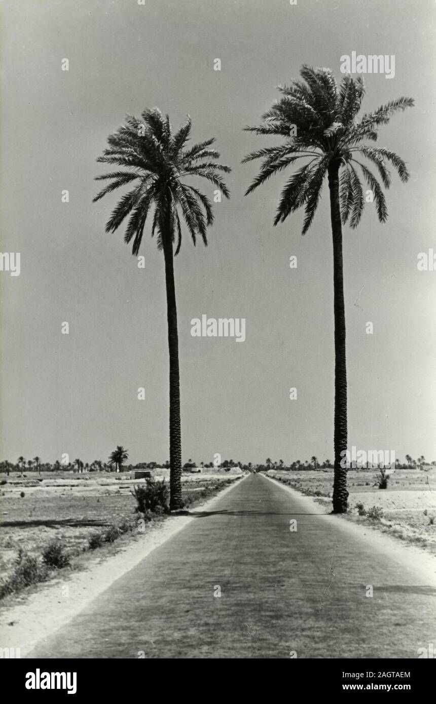 Misrata libya hi-res stock photography and images - Alamy