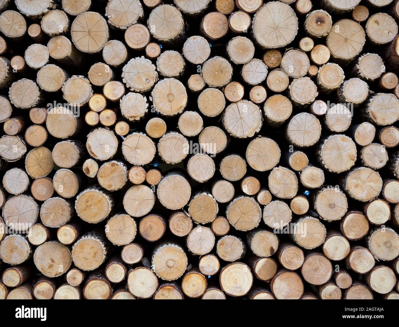 Thin logs made of wood trunks stacked in a woodpile Stock Photo - Alamy