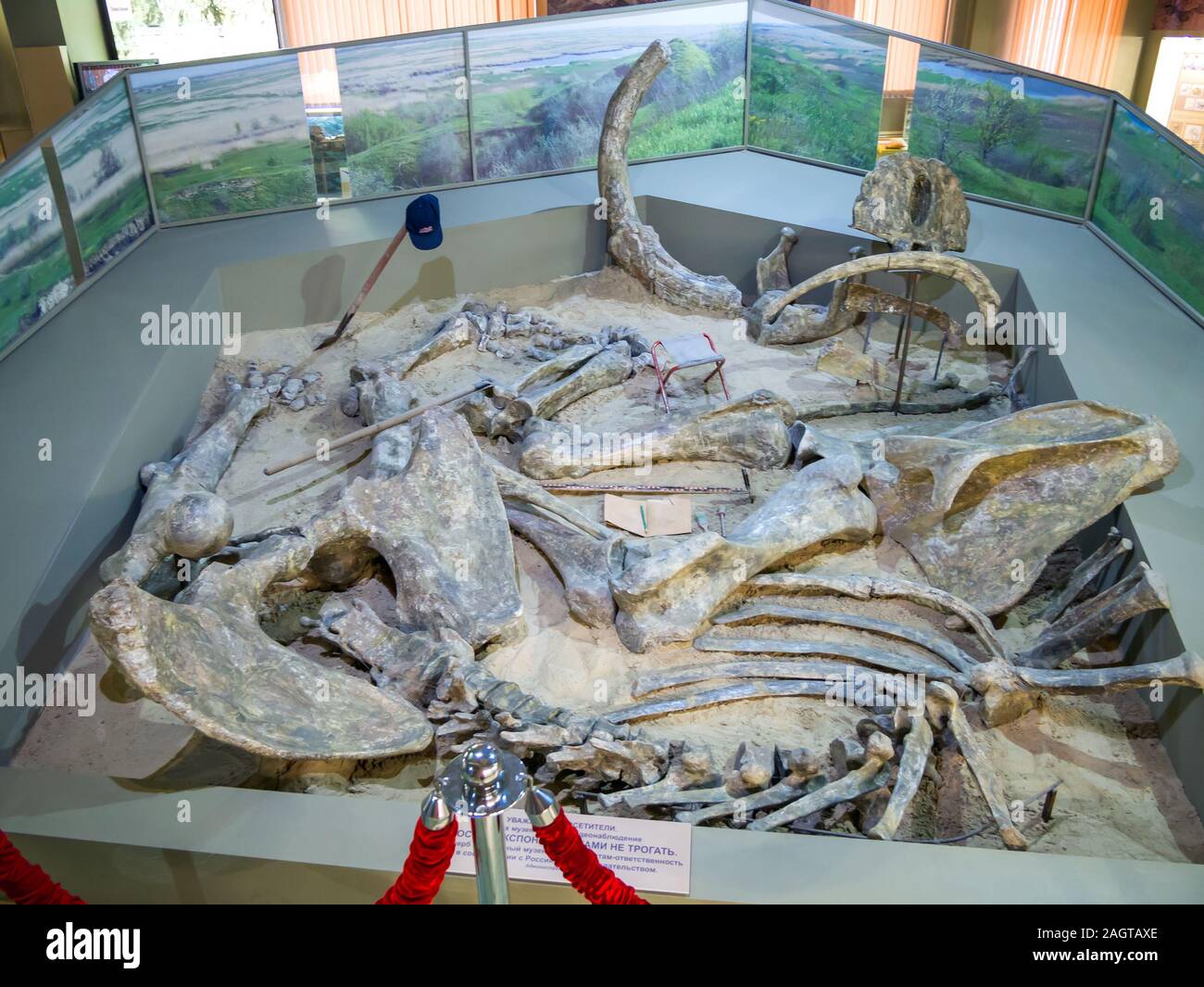 Mammoth bones russia hi-res stock photography and images - Alamy
