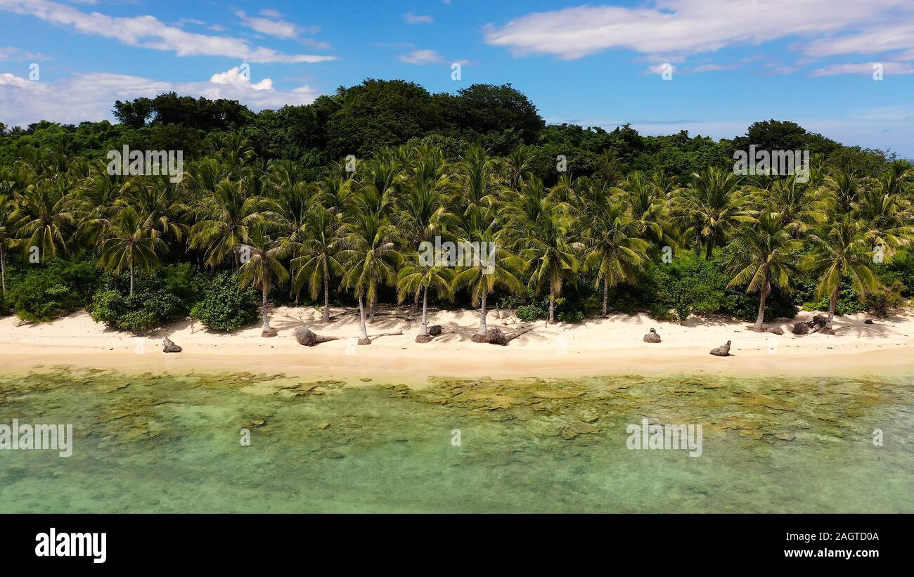 Bank coconut trees hi-res stock photography and images - Alamy