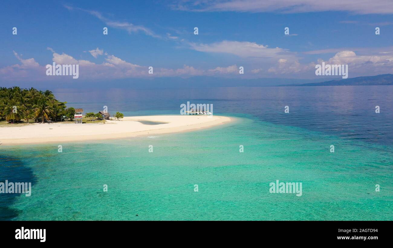 Summer beach landscape. Tropical island view, palm trees with amazing ...