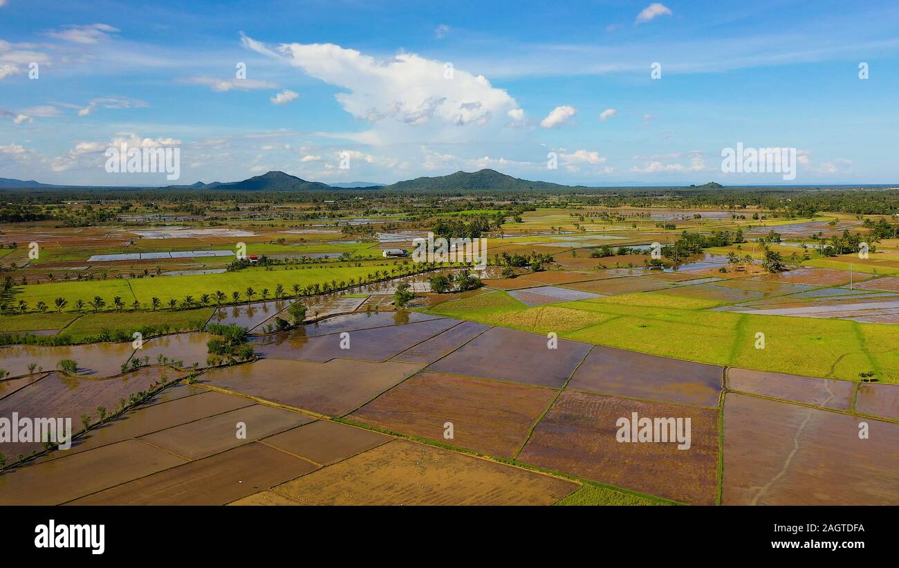 Landscape on Leyte Island, Philippines. Rice fields, top view ...