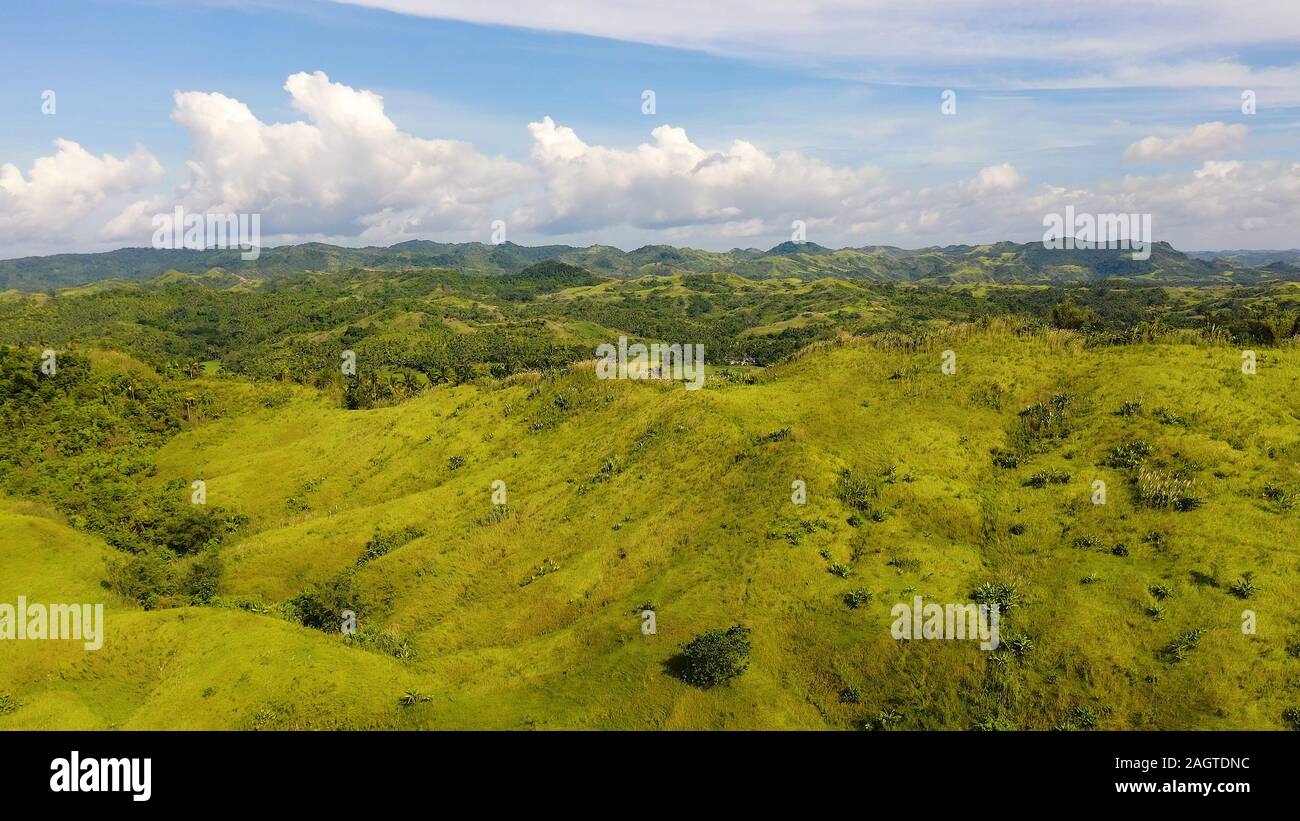 Samar Stock Photos & Samar Stock Images - Alamy