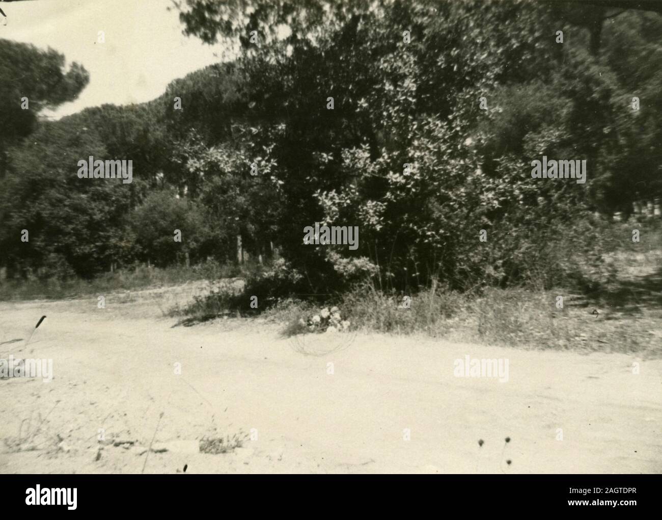 The flowers indicating the point where Italian Army officer, aviator ...