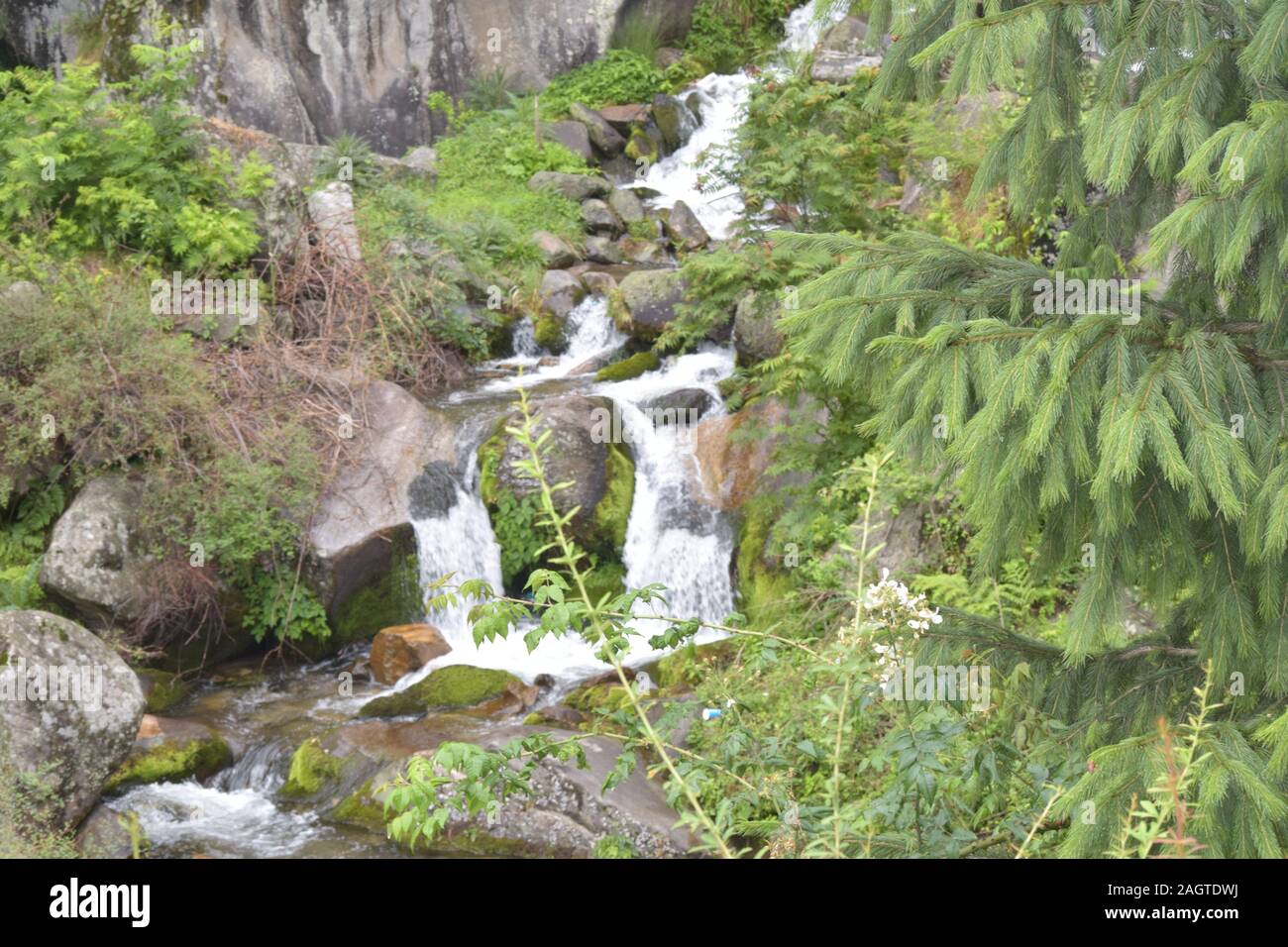 Jogini or Jogni Falls is a beautiful waterfall situated near Vashisht ...