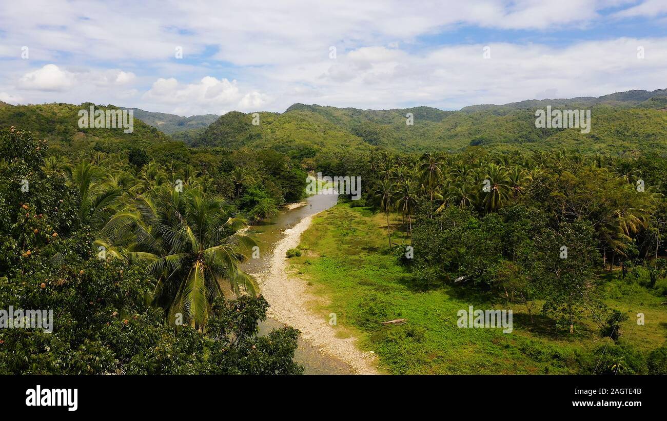 Mountains and hills are covered with evergreen forest. Beautiful ...