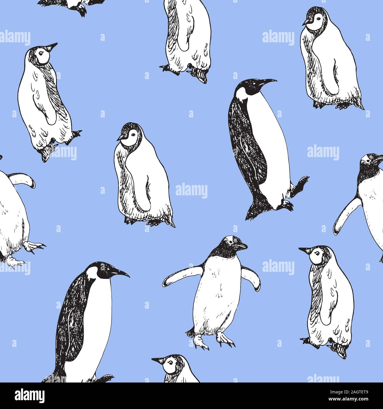 Penguins couple walking in sequence, hand drawn doodle, sketch ...