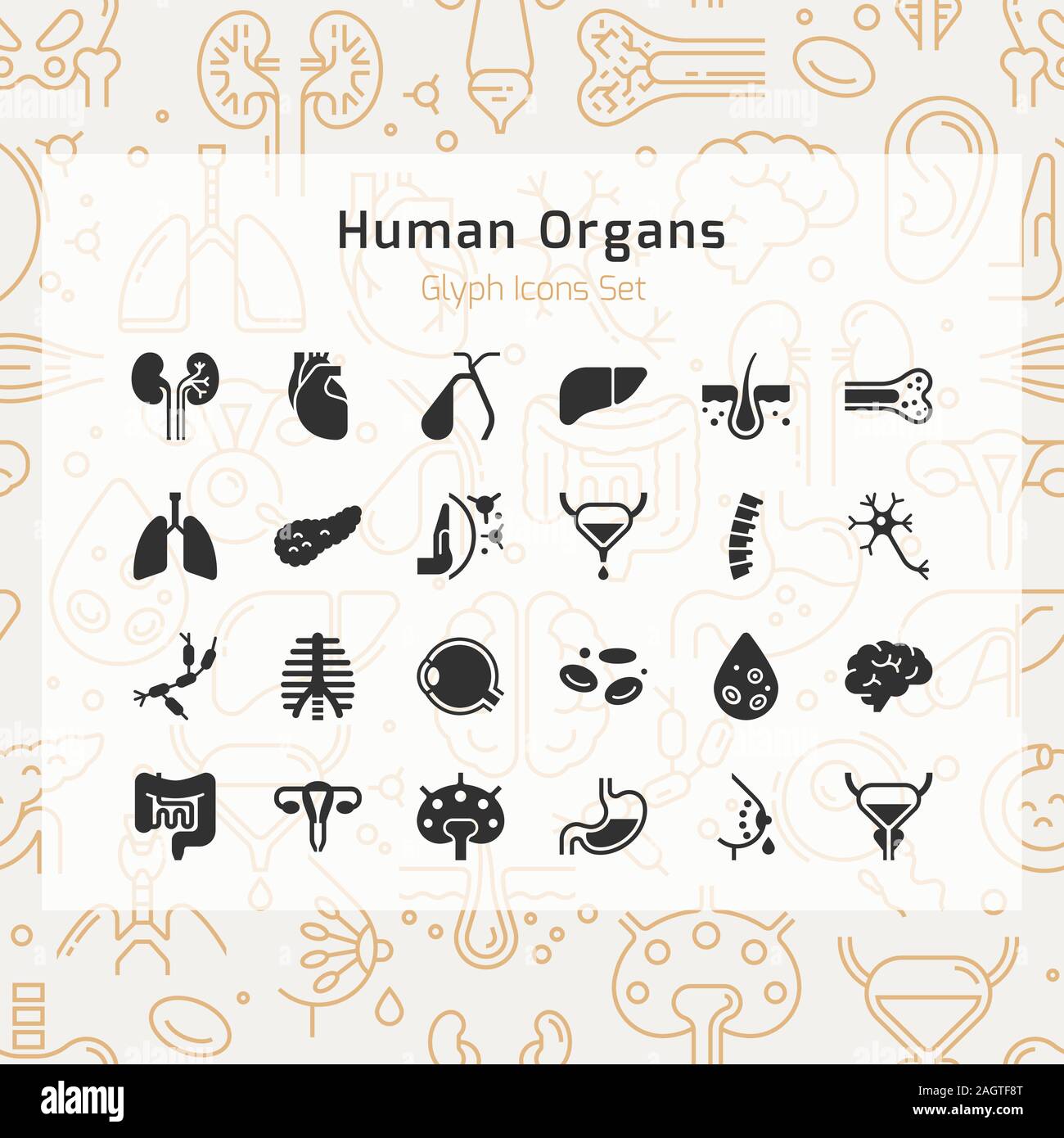 Set of vector icons of internal human organs in a linear style isolated ...