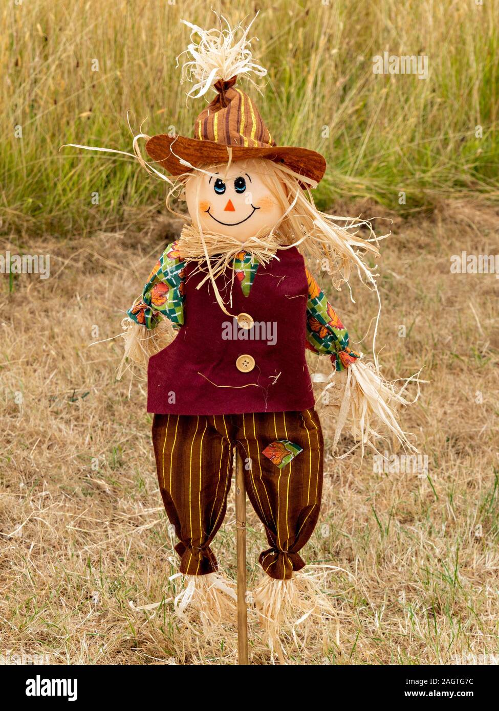 Corn dolly hi-res stock photography and images - Alamy