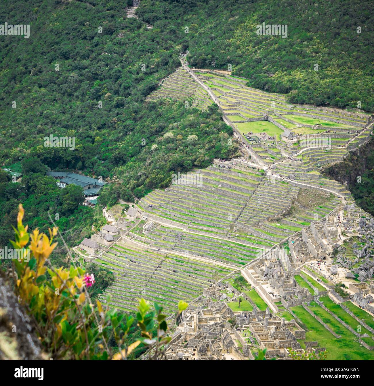 Mayan Terrace Farming