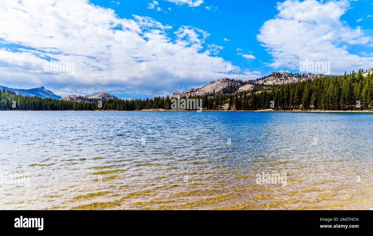 The clear glacial water of Tioga Lake at an elevation of 2938m on Tioga ...