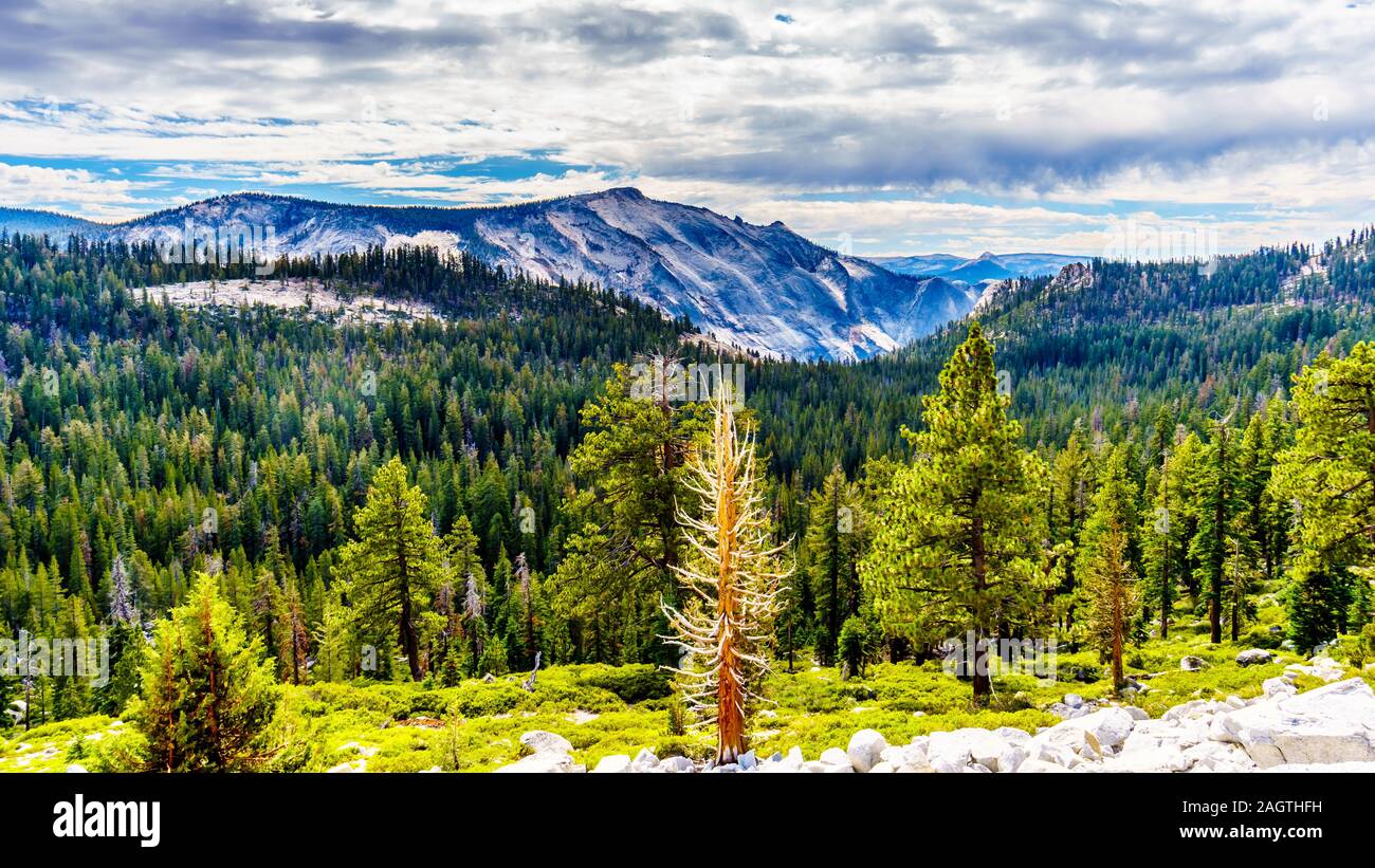 View of the Granite Mountains of Yosemite National Park viewed from ...