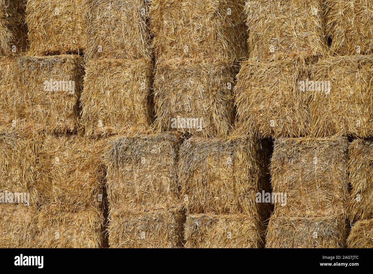 modern, large, stacked Straw bales Stock Photo - Alamy