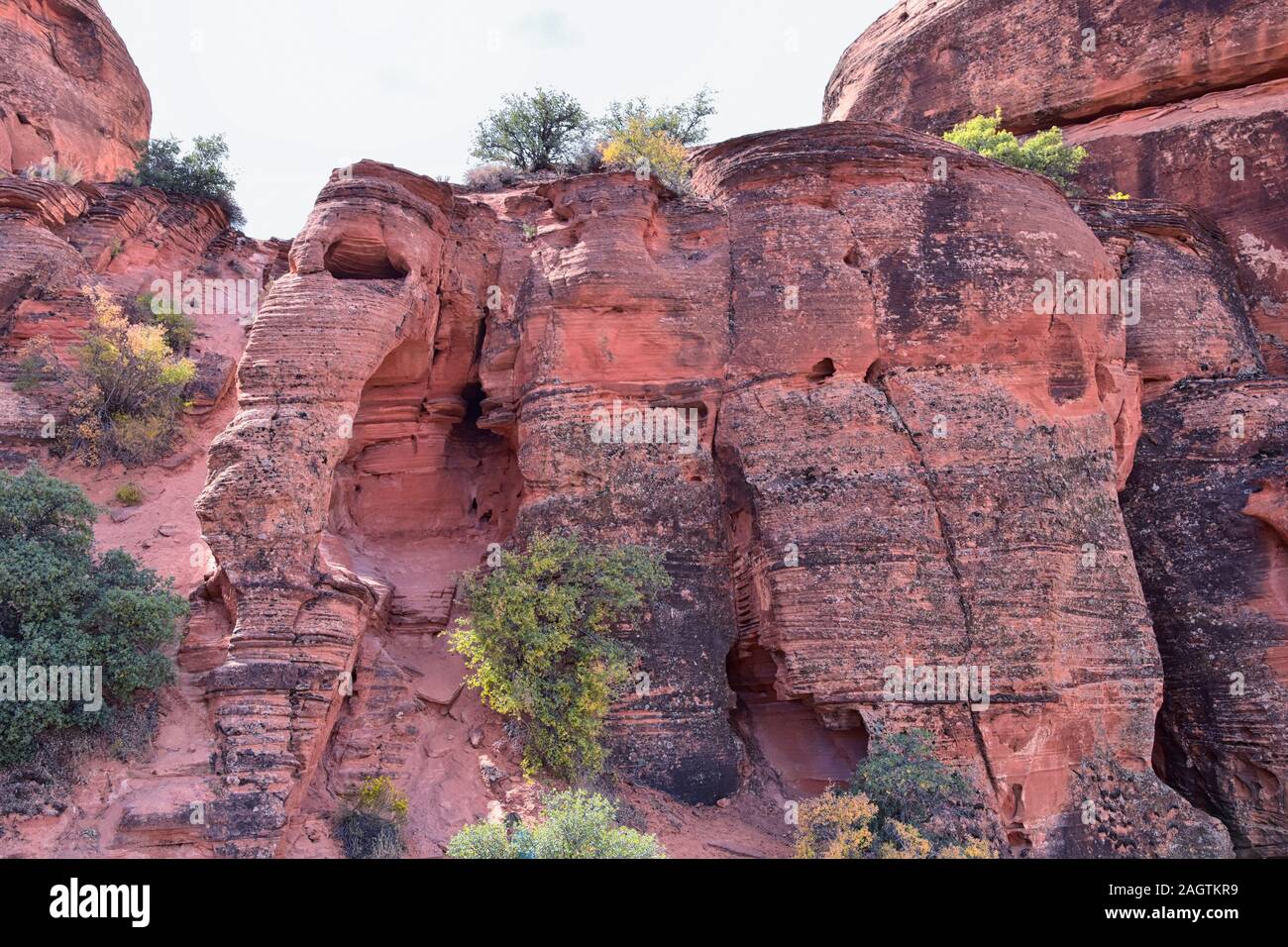 Elephant Arch in Red Cliffs National Conservation Area Wilderness and ...
