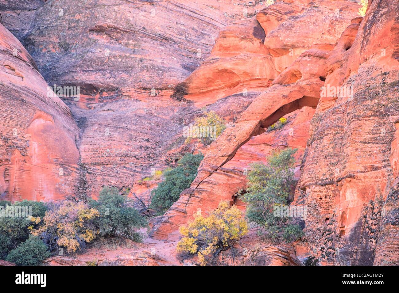 Elephant Arch in Red Cliffs National Conservation Area Wilderness and ...